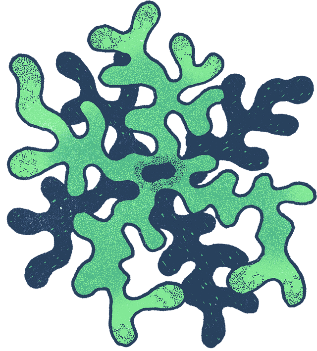 De første navna til Øya 2025 | Øyafestivalen